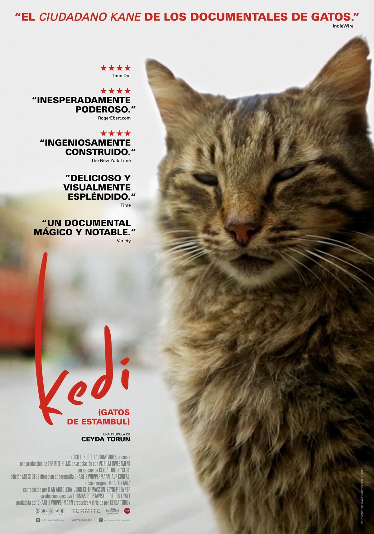 Pôster do filme Gatos - Foto 19 de 20 - AdoroCinema