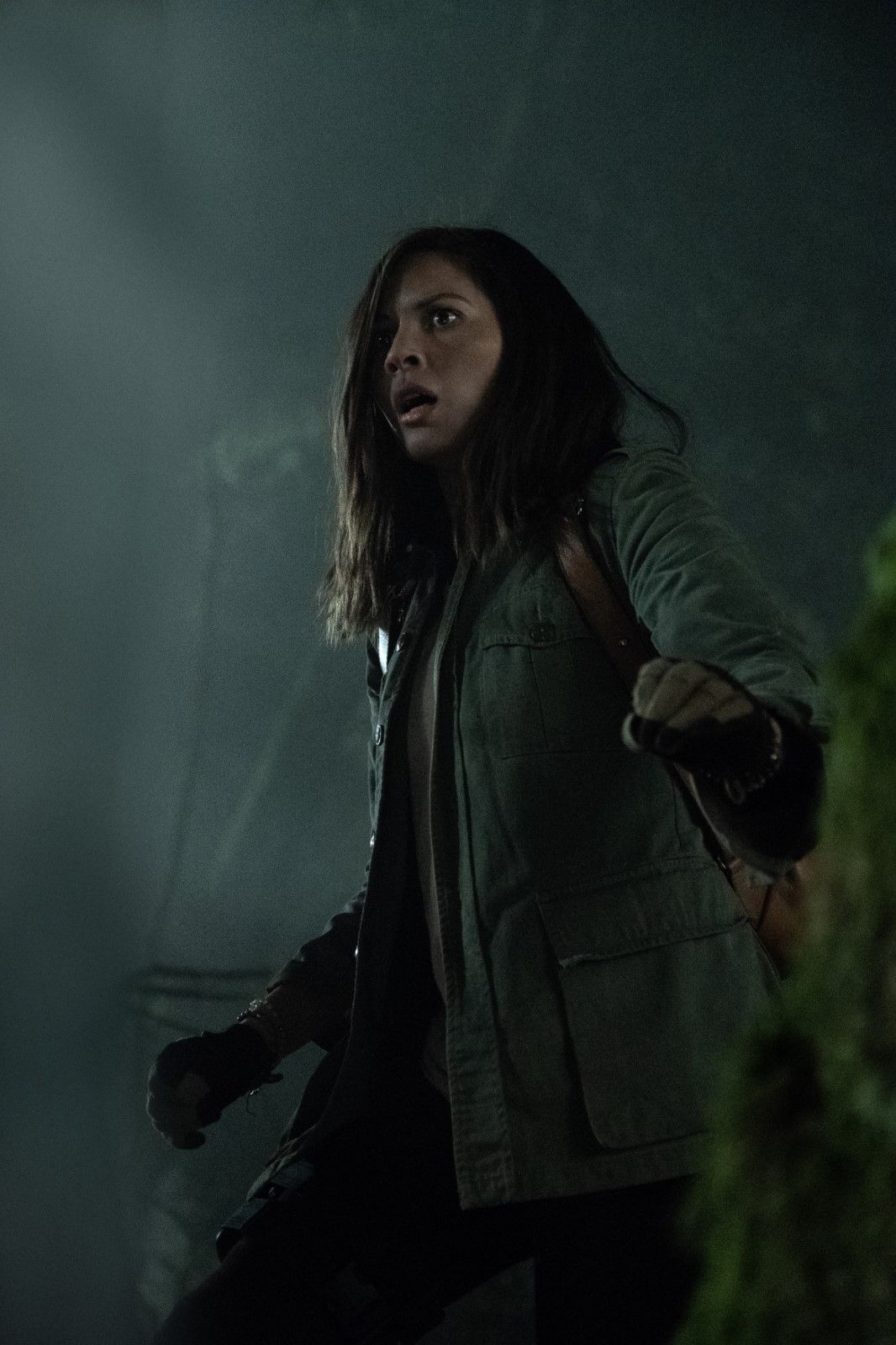 Foto do filme O Predador - Foto 14 de 34 - AdoroCinema