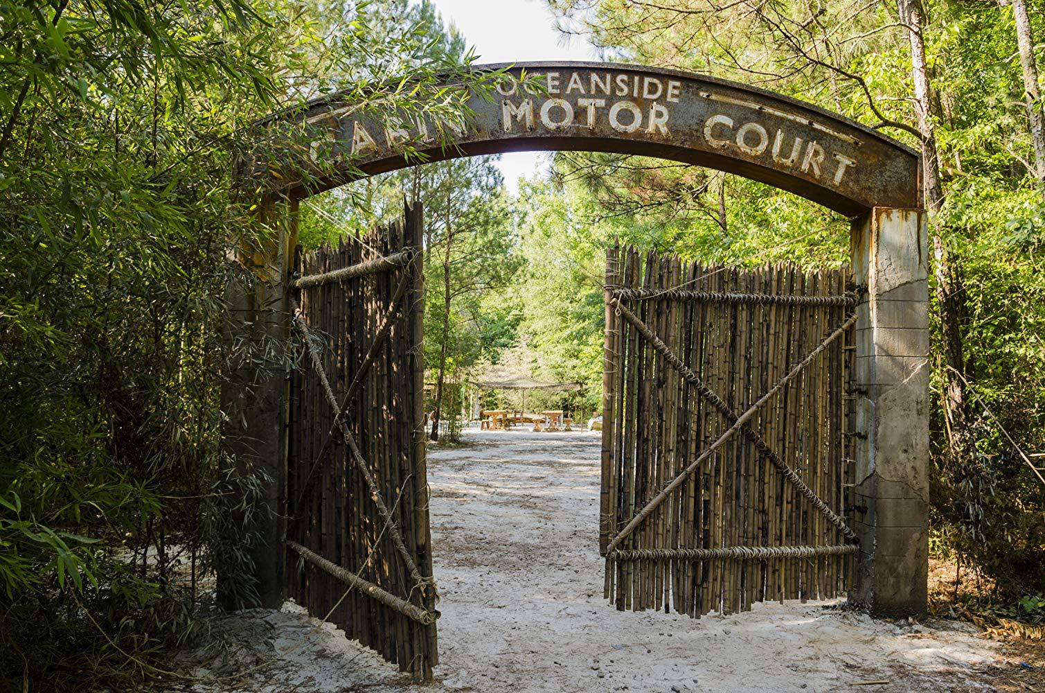 The Walking Dead : The Walking Dead : Fotos - 307 no 1200 - AdoroCinema