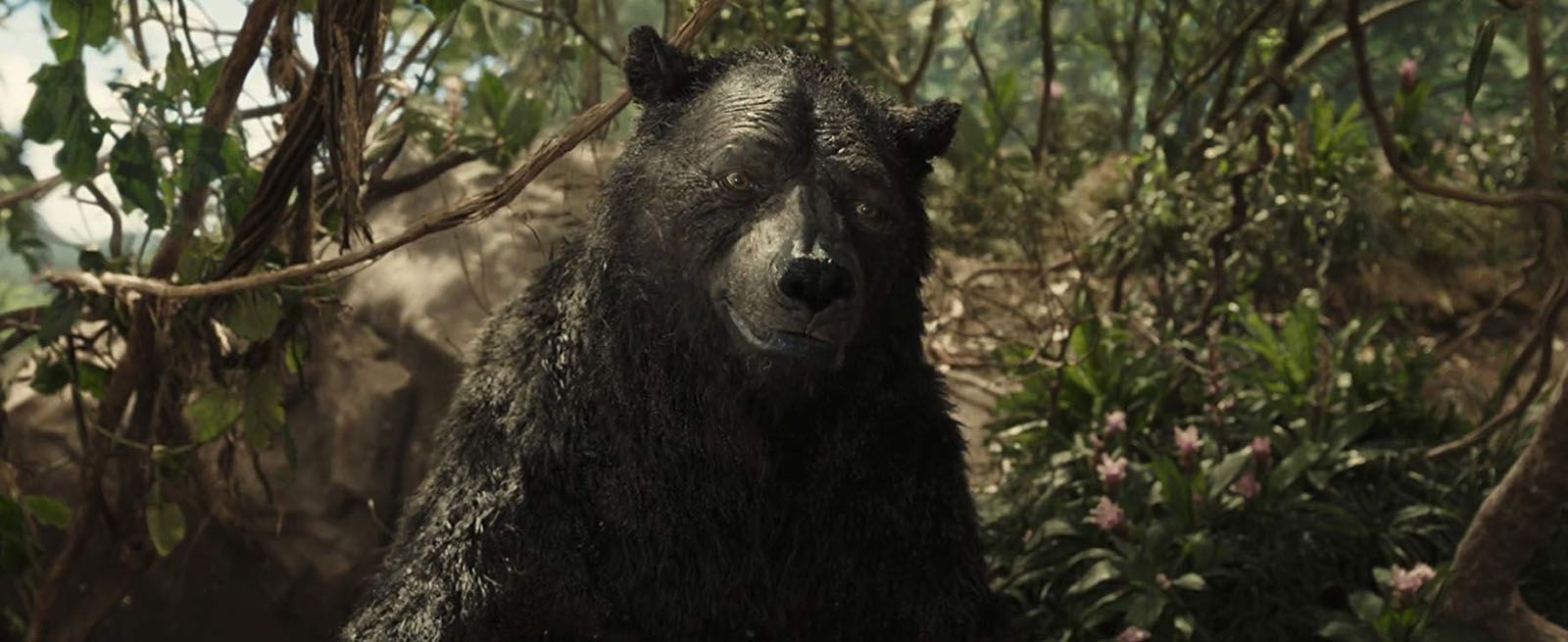 Foto do filme Mogli - Entre Dois Mundos - Foto 9 de 27 - AdoroCinema