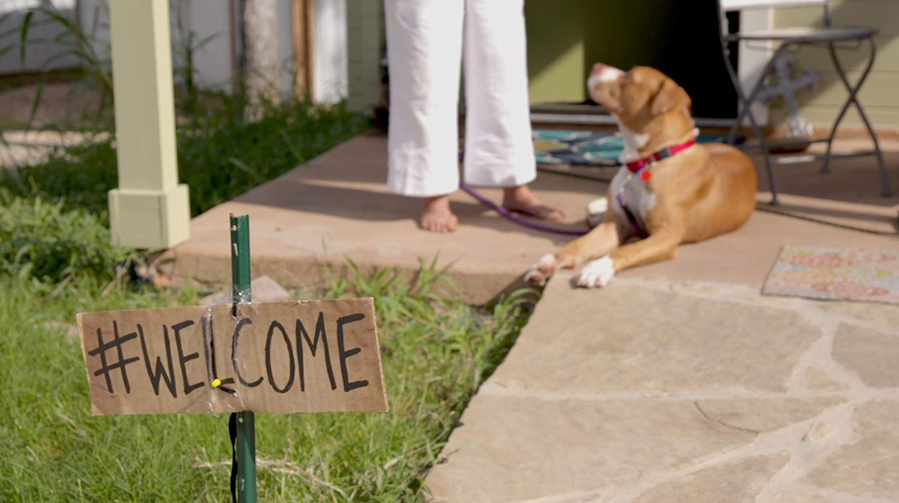 Foto do filme Community First, A Home for the Homeless - Foto 1 de 3 ...