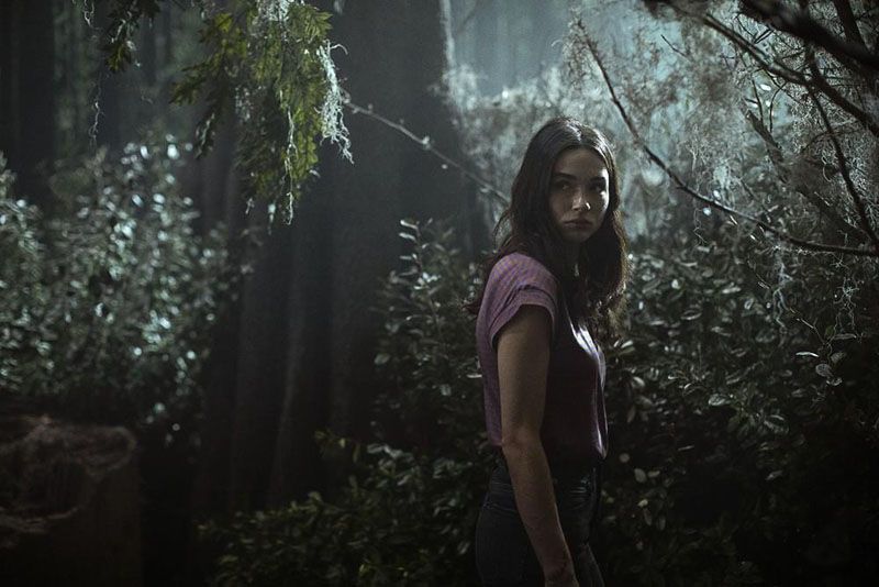 Swamp Thing : Swamp Thing : Fotos Crystal Reed - 31 no 52 - AdoroCinema