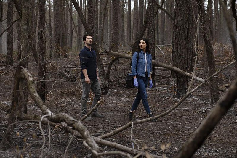 Swamp Thing : Swamp Thing : Fotos Crystal Reed, Andy Bean - 20 no 52 ...