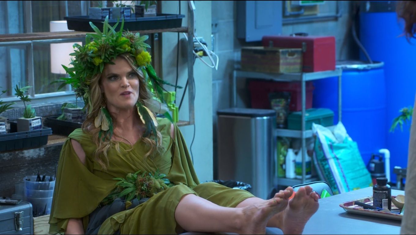 Pôster Disjointed - Temporada 1 - Pôster 14 no 25 - AdoroCinema