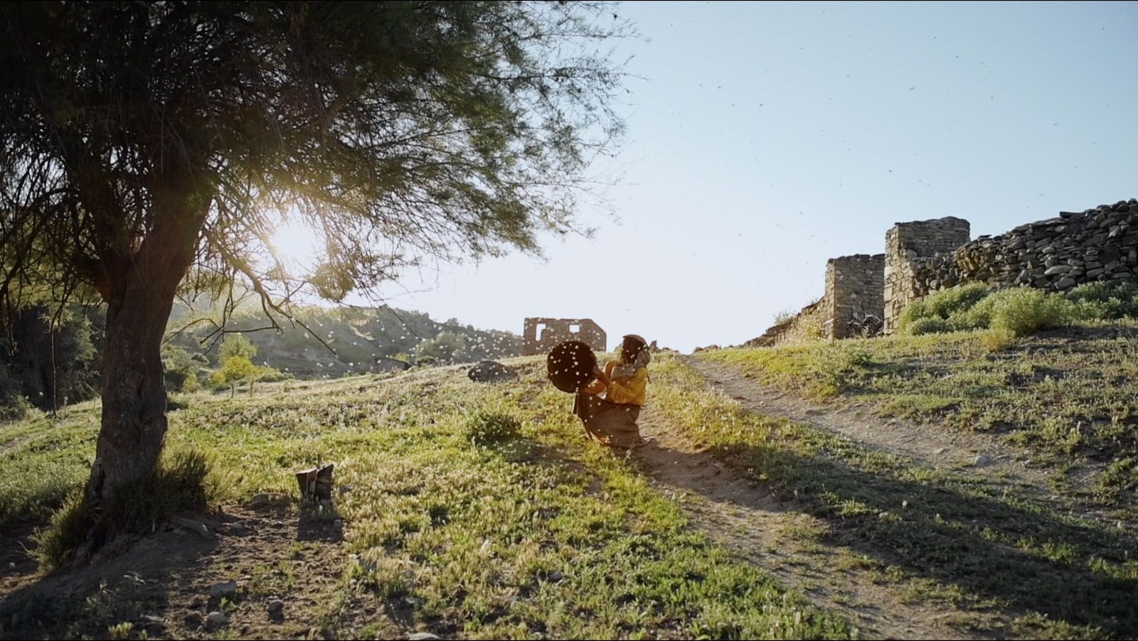 Foto do filme Honeyland - Foto 1 de 17 - AdoroCinema
