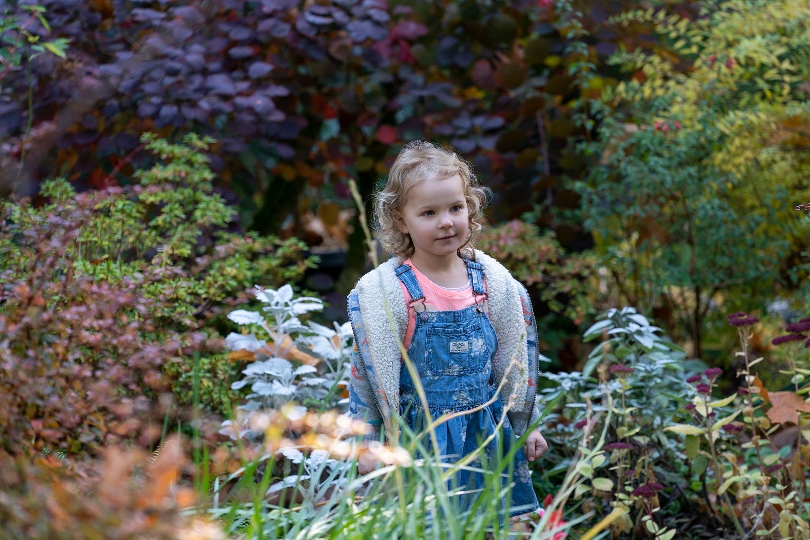 Maid : Maid : Fotos - 3 no 32 - AdoroCinema