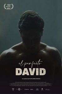 O Perfeito David - Filme 2021 - AdoroCinema