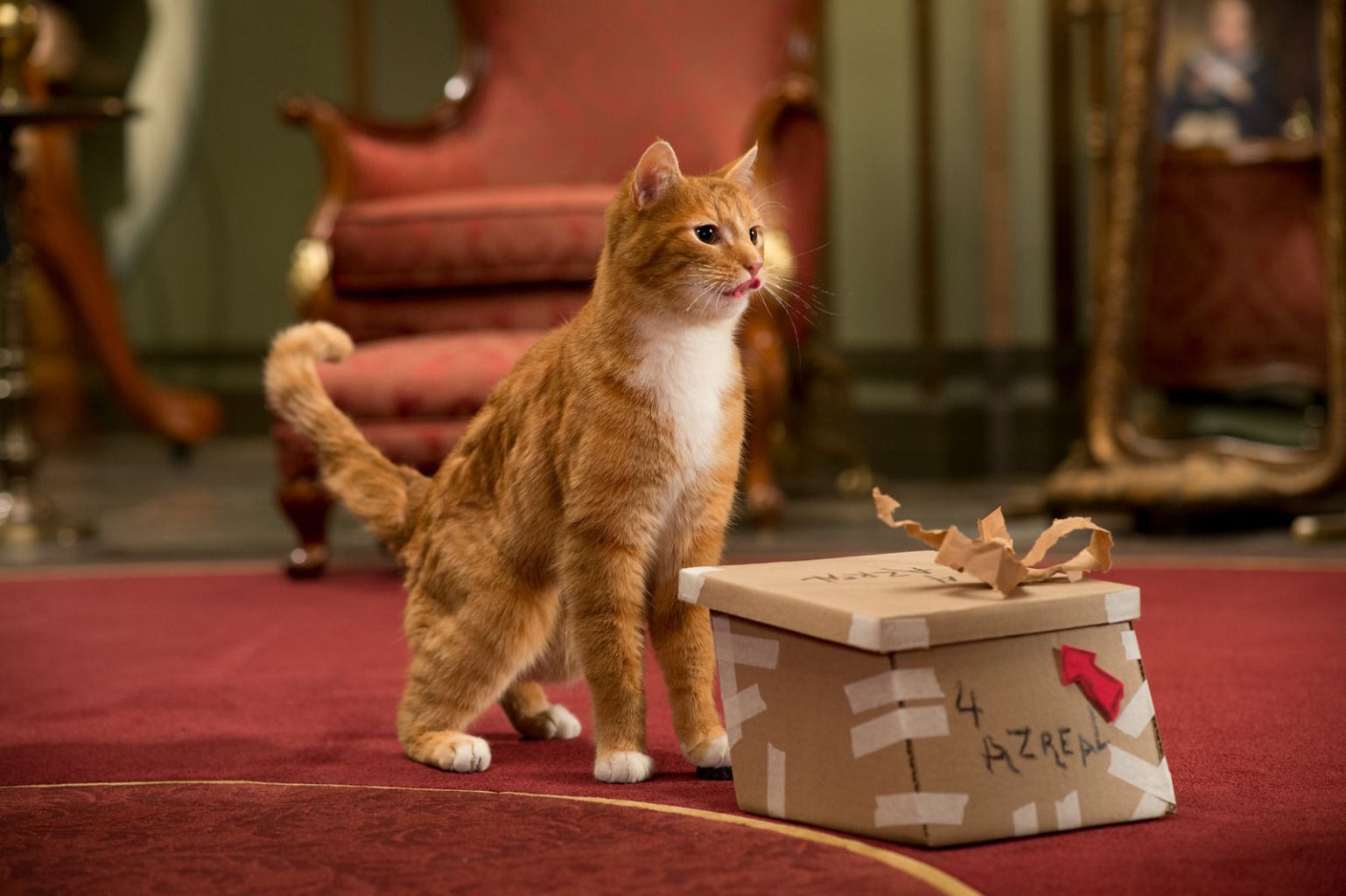 Foto do filme Os Smurfs 2 - Foto 3 de 59 - AdoroCinema