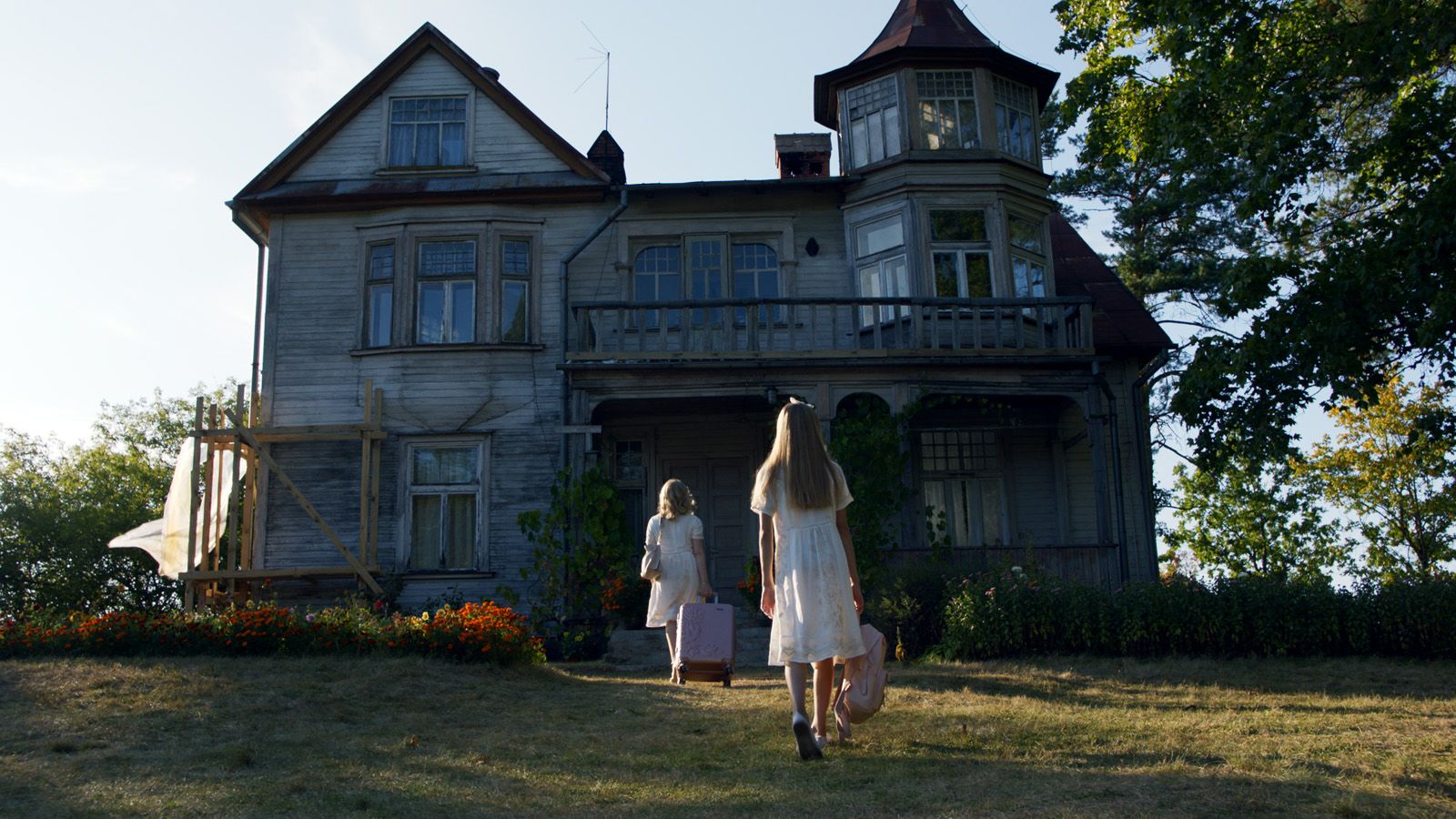 Foto do filme Hatching - Foto 23 de 24 - AdoroCinema