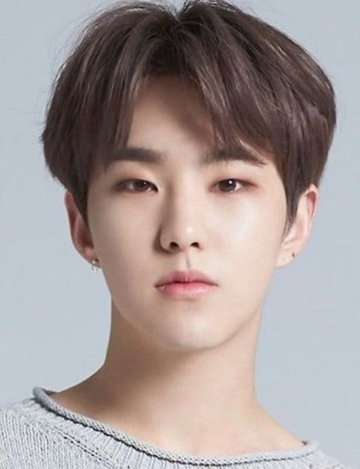 Foto de HOSHI - Poster HOSHI - Foto 0 de 1 - AdoroCinema