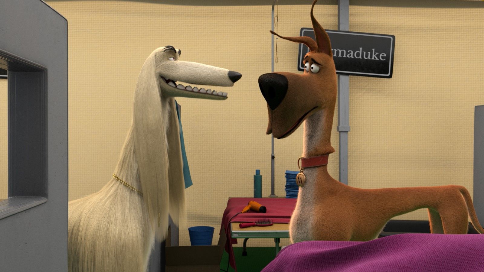 Foto do filme Marmaduke - Foto 18 de 39 - AdoroCinema