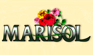 Marisol 1ª temporada - AdoroCinema