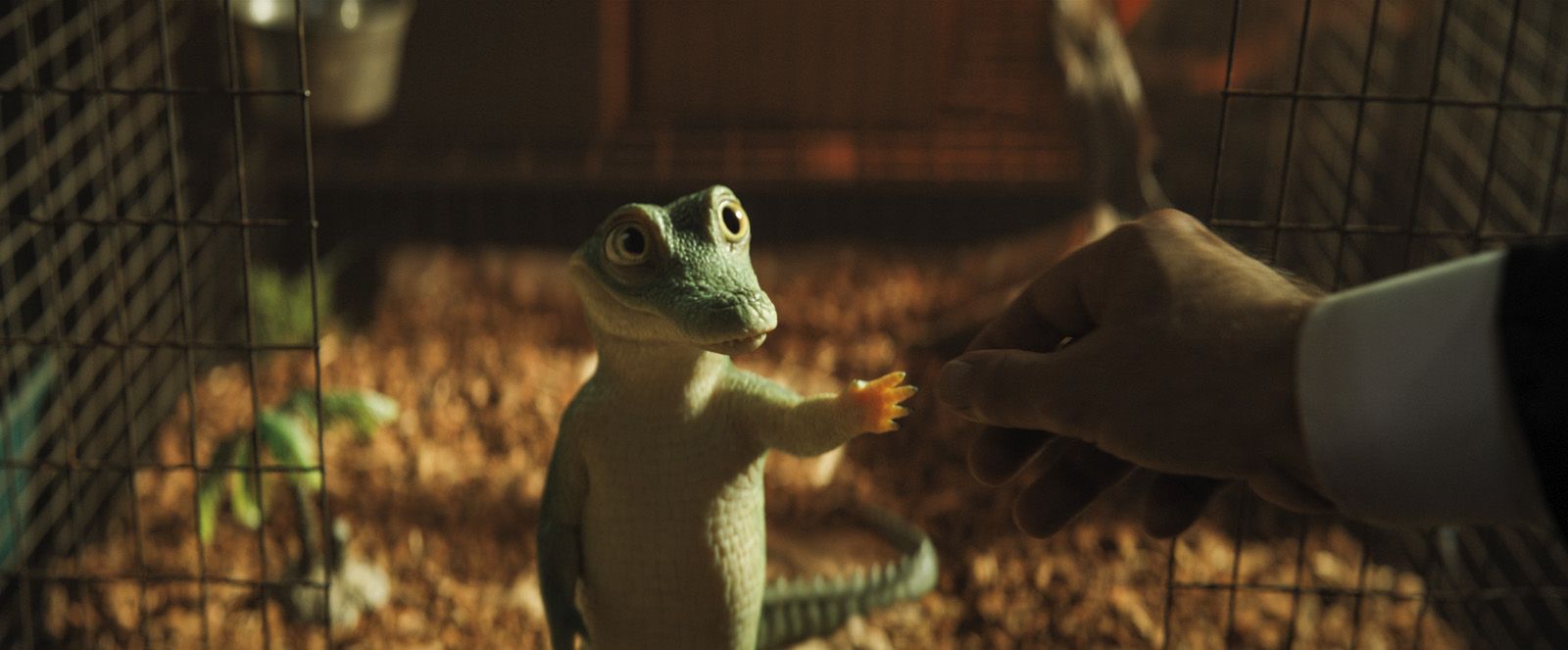 Foto do filme Lilo, Lilo, Crocodilo - Foto 4 de 19 - AdoroCinema