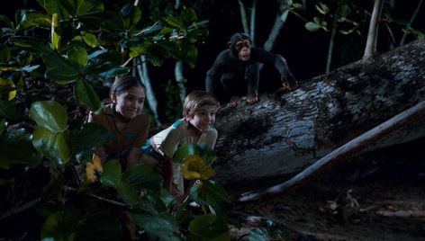 Jane : Jane : Fotos - 1 no 11 - AdoroCinema