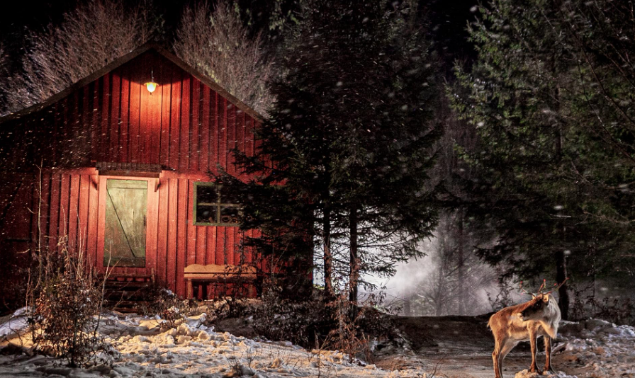 Foto do filme Prancer: Um Conto de Natal - Foto 5 de 7 - AdoroCinema