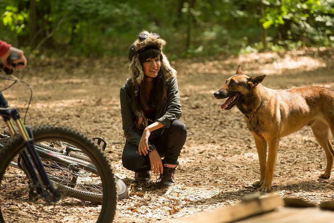 Foto do filme Max - O Cão Herói - Foto 24 de 34 - AdoroCinema