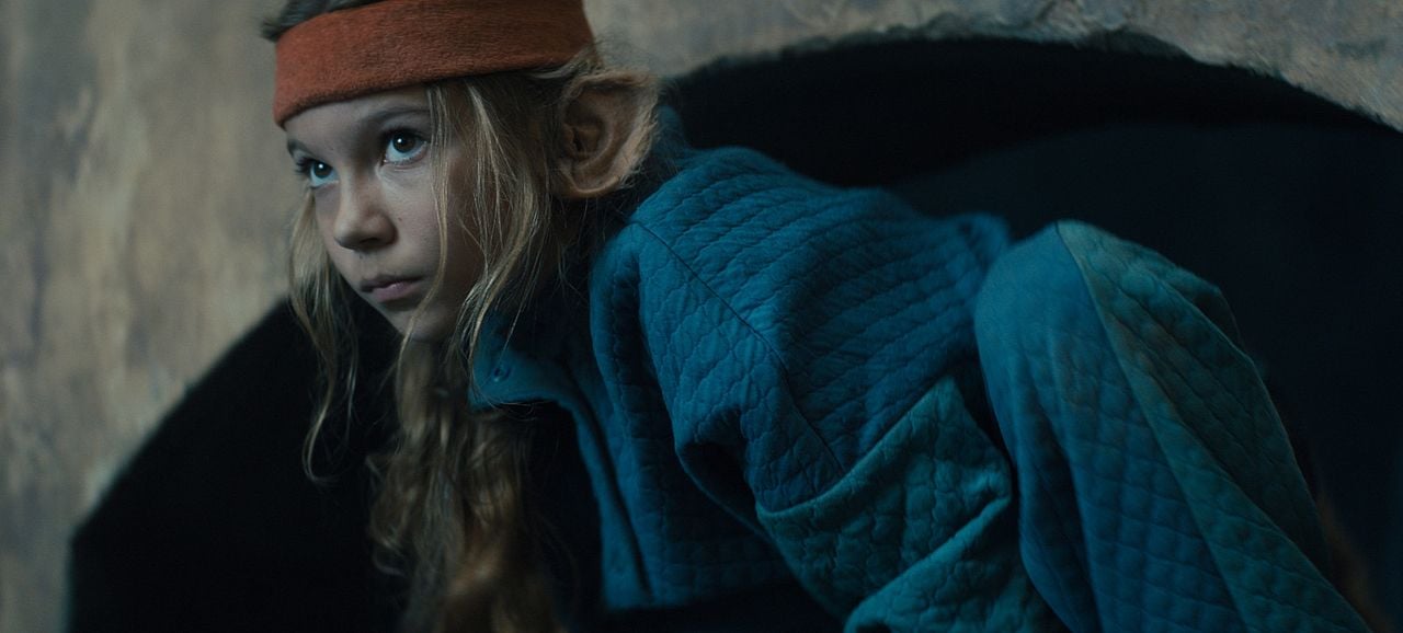 Foto de Amie Donald - Fotos Amie Donald - Foto 0 de 5 - AdoroCinema