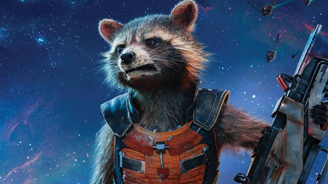 Morre Mr. Oreo, guaxinim que serviu de base para o Rocket Raccoon ...