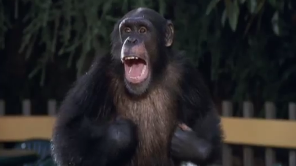 Teaser do filme Super Monkey - Super Monkey Teaser Original - AdoroCinema