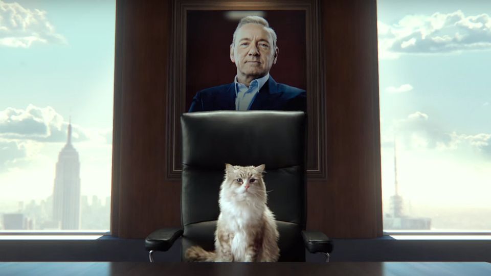 Teaser do filme Virei um Gato - Nine Lives Teaser Original - AdoroCinema