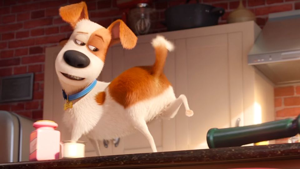 Clipe do filme Pets: A Vida Secreta dos Bichos - Pets - A Vida Secreta ...