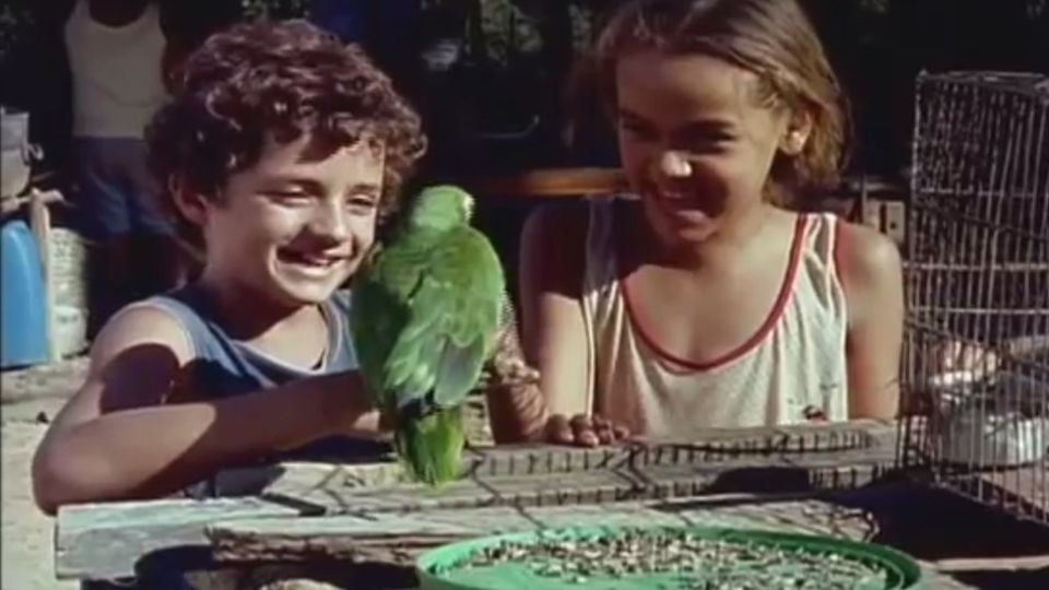 Trailer do filme Mutum - Mutum Trailer - AdoroCinema