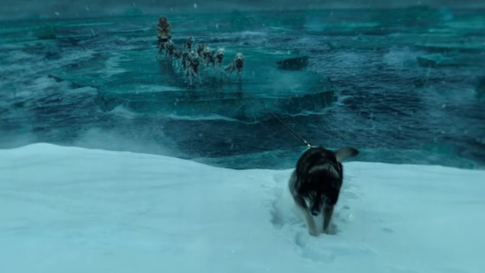 Trailer do filme Togo - Togo Trailer Original - AdoroCinema